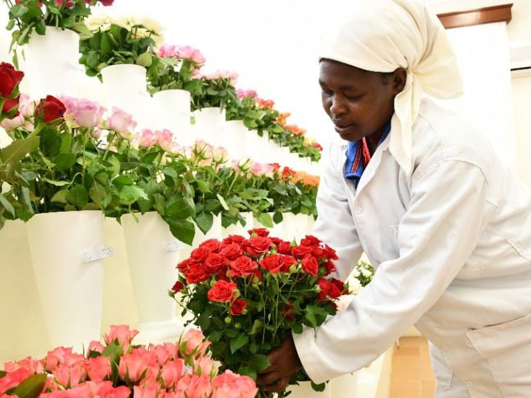 Uses of Flowers - Karen Roses